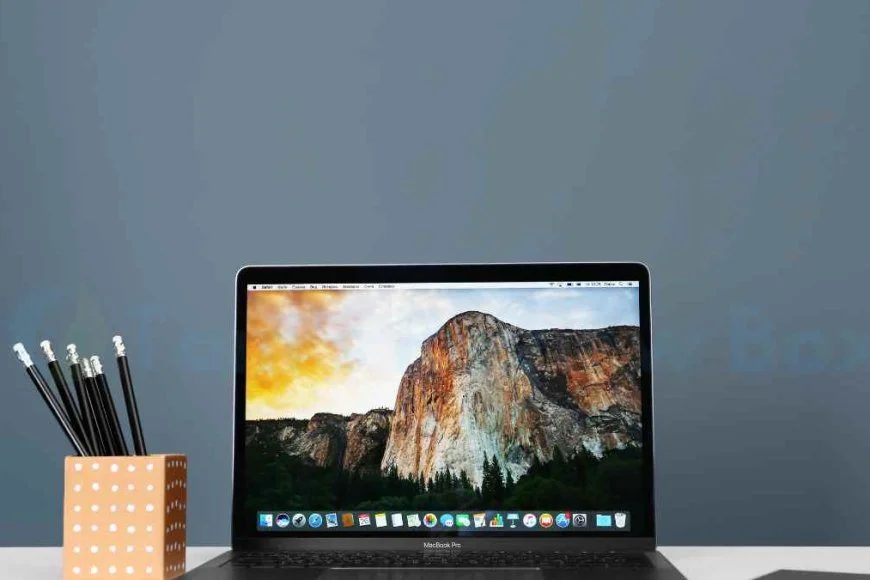 MacBook Pro Display Replacement: Expert Guide and Solutions - Tom's ...